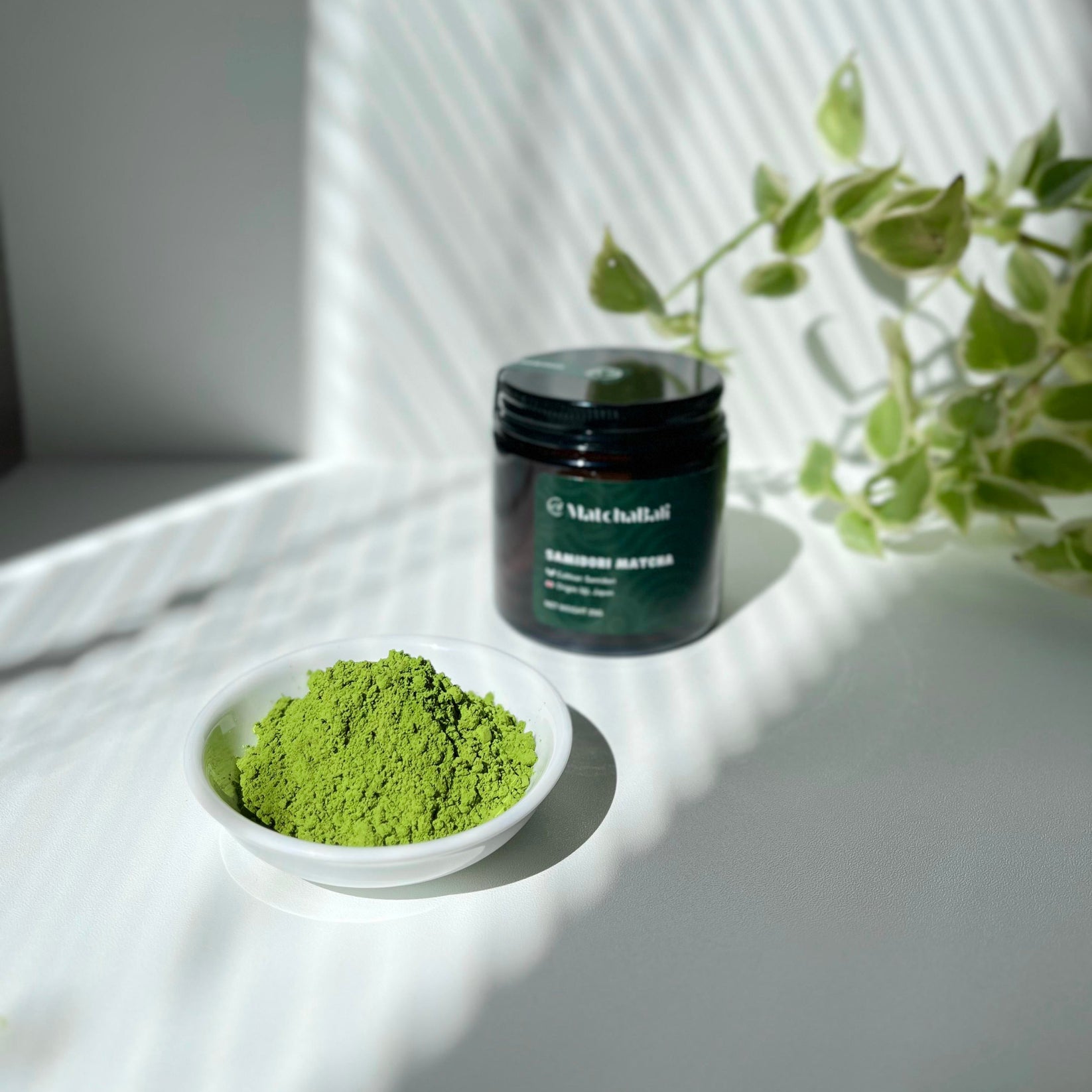 Samidori Matcha Tin – Matcha Bali